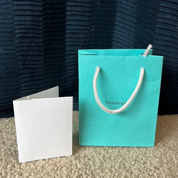Tiffany & Co. | Other | Tiffany Co Small Shopping Bag With White Gift ...